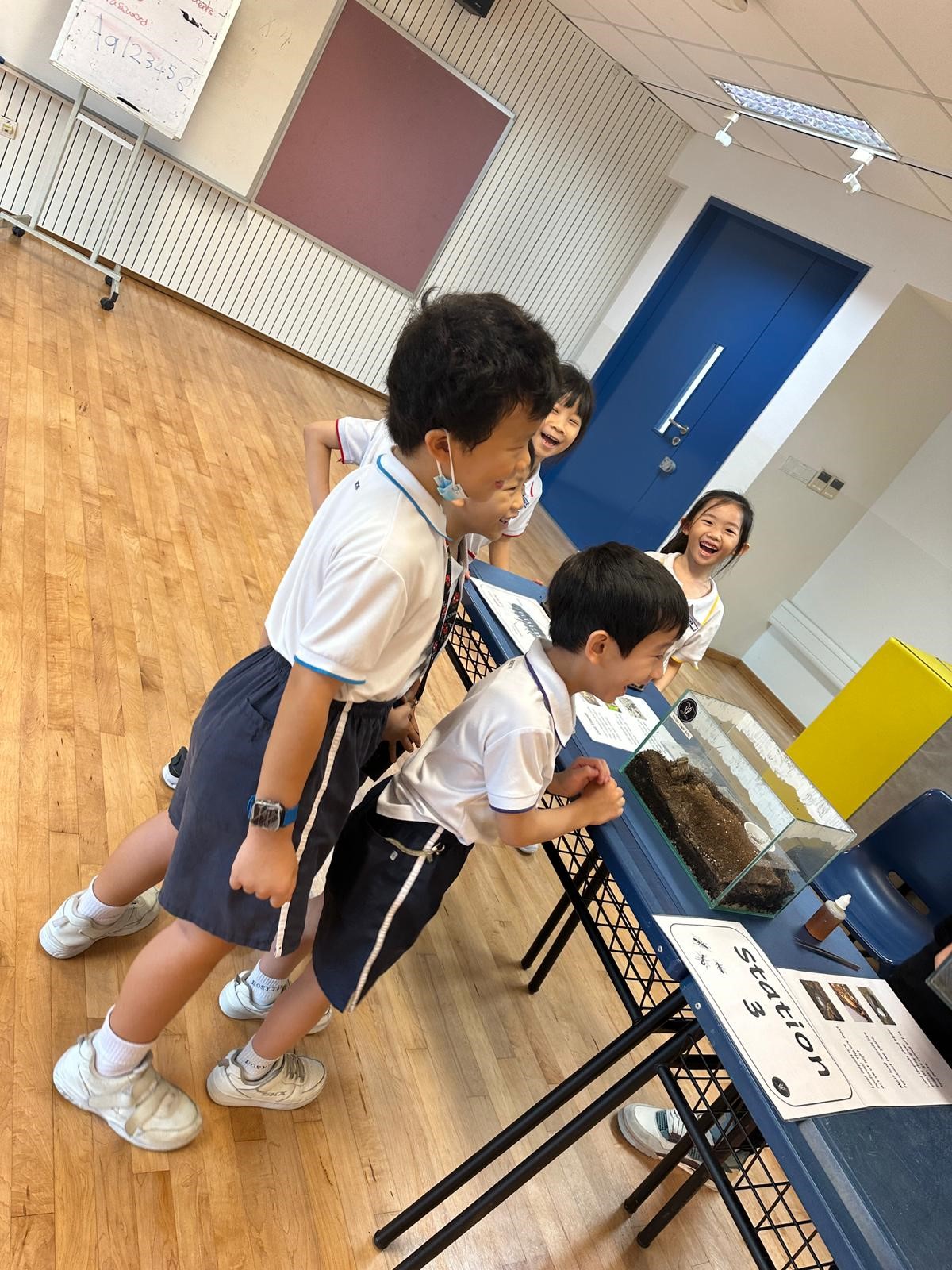 Primary 1